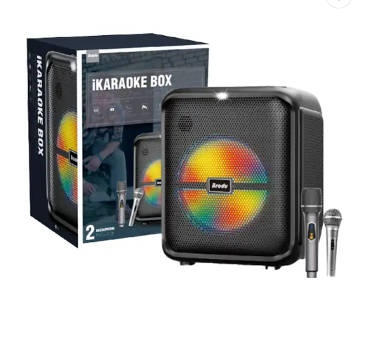 BTS-1740 30W Bluetooth Outdoor Boombox Radios Portability Wireless ...