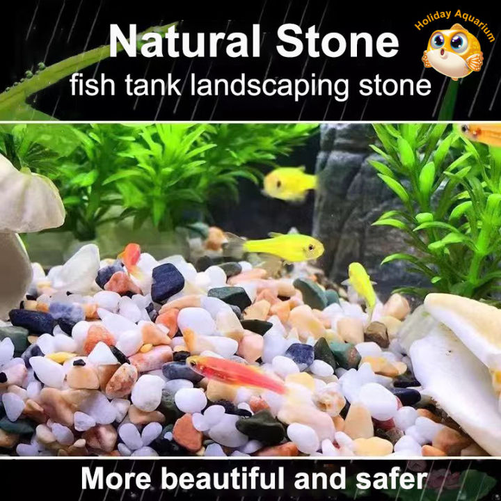Aquarium Colorful Rock White Pebbles Fish Tank Bottom Decoration ...