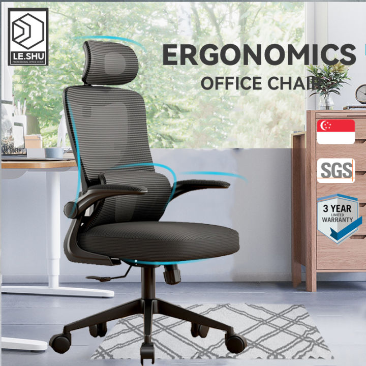 Office Chair Ergonomic Mesh Office Chair Comfort For Work 8 Hours High ...