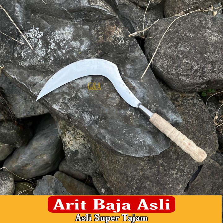 Arit Asli Super Tajam Sabit Rumput Padi Kecil - Putih Mulus Asli Jawa ...