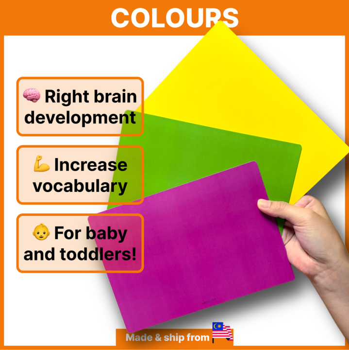 Colours Flash Cards for Kids, Baby, Color, Warna Big Flash Card ...