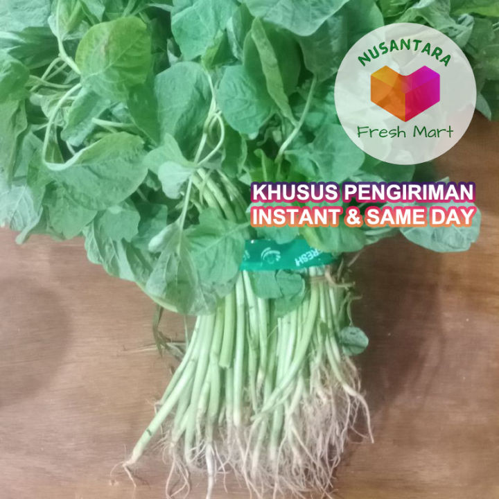 Bayam Hijau Segar / Sayur Bayam | Lazada Indonesia