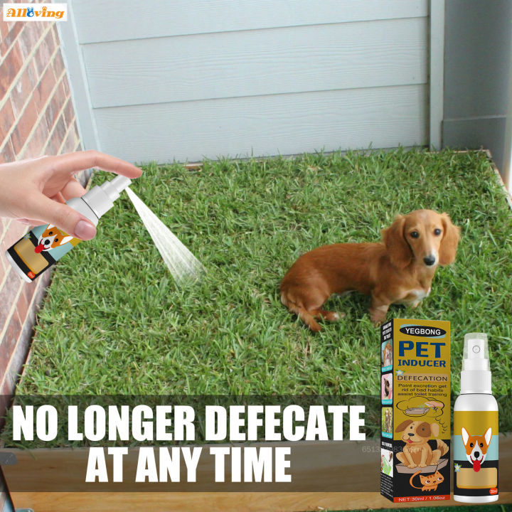 Alloving Pet Positioning Defecation Inducer Encourage Your Pet to Use ...