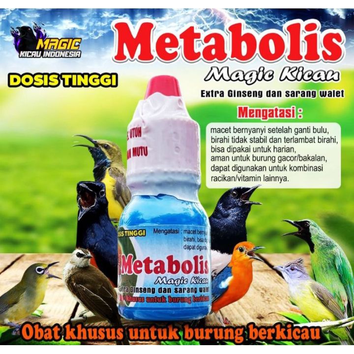 Metabolis Magic Kicau Penggacor Burung Murai Batu Pleci Lovebird Kacer dan Untuk Mengatasi ...