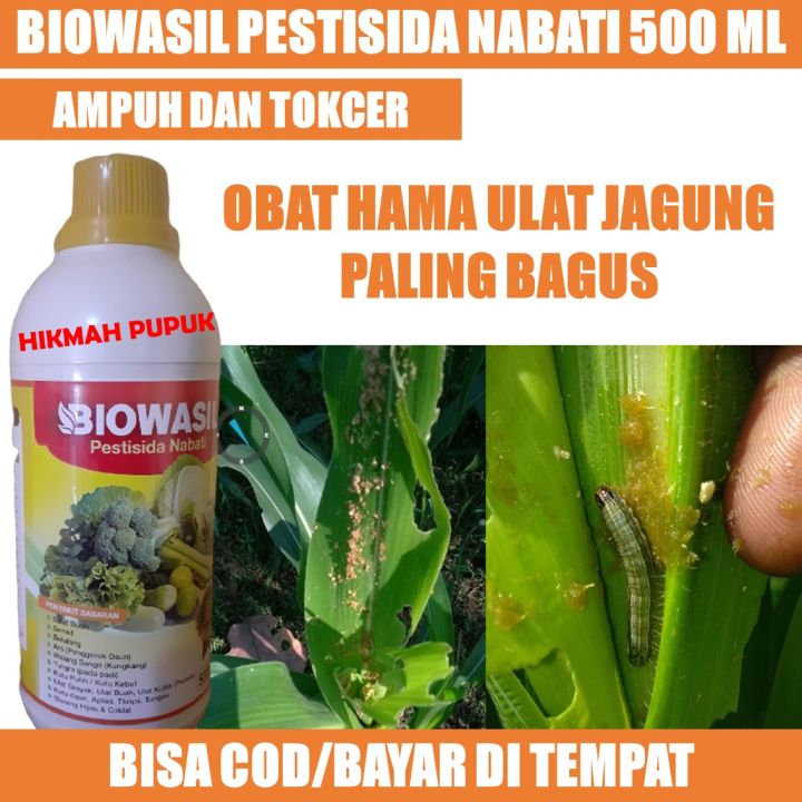 BIOWASIL PESTISIDA PALING LARIS HAMA ULAT JAGUNG, SAWI, KACANG PANJANG Obat Hama Ulat Jagung ...