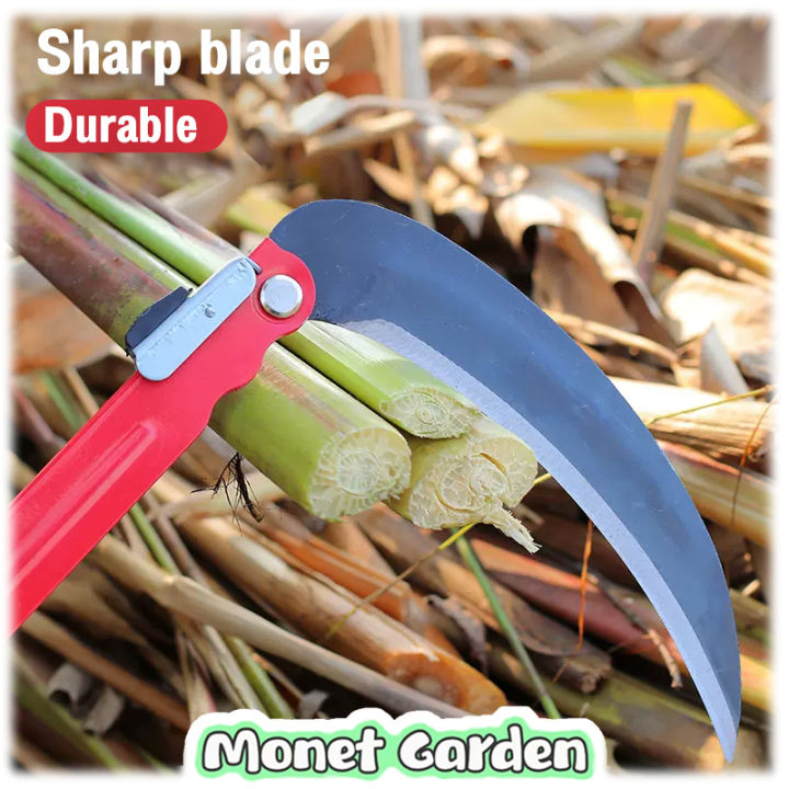 Folding sickle, agricultural harvesting tool for wheat and weeds ...