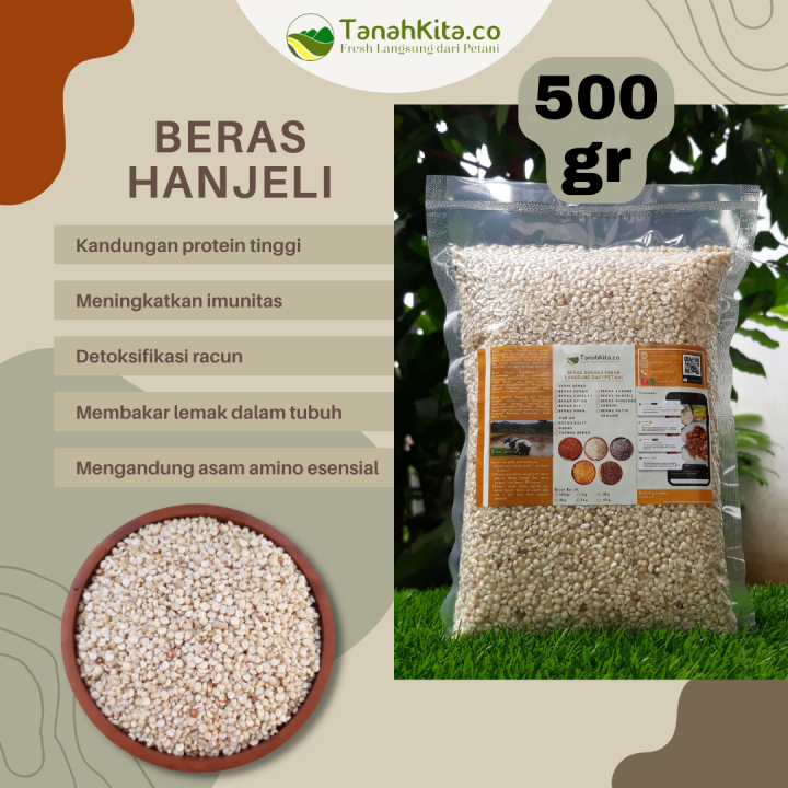 Beras Hanjeli I Jali FRESH langsung dari Petani (500 gram vacuum ...