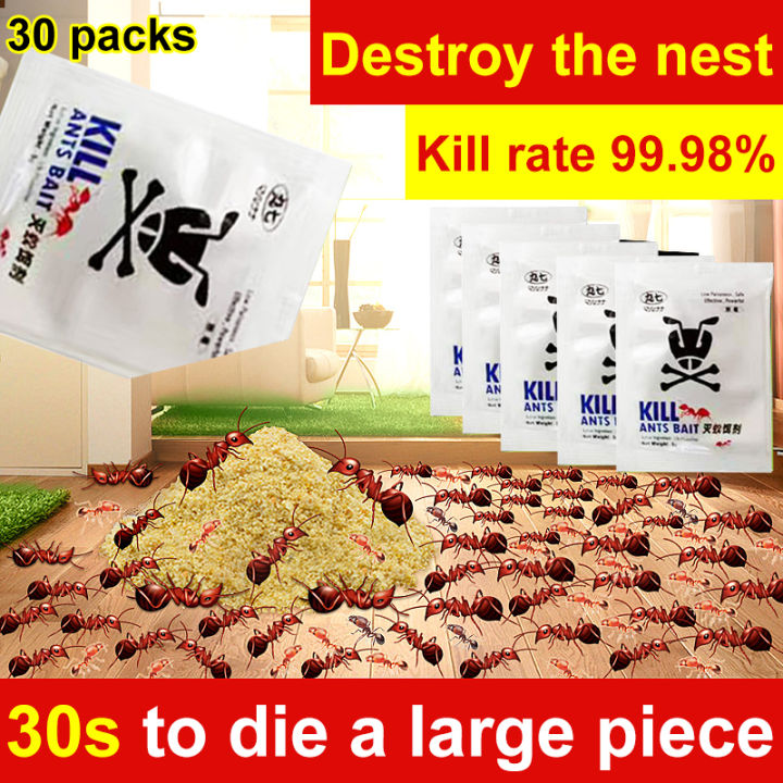 Destroy the nest ants killer powder ant killing bait powder ant bait ...