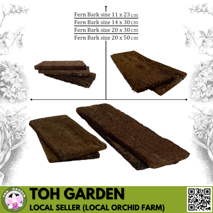 [SG Seller] Fern Bark, Tree Fern Panel for orchids, ferns and epiphytes ...