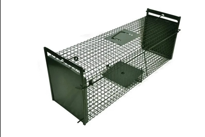 Solid Metal Foldable Cat trap Cage | Lazada PH