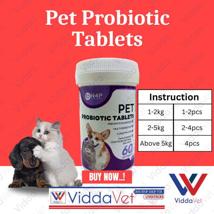 N4P PET PROBIOTIC TABLETS 120 TABLETS Advanced Digestive Health Formula ...