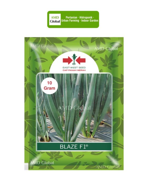 Benih Daun Bawang Blaze F1 / Bakung / Loncang Cap Panah Merah Isi 10 ...