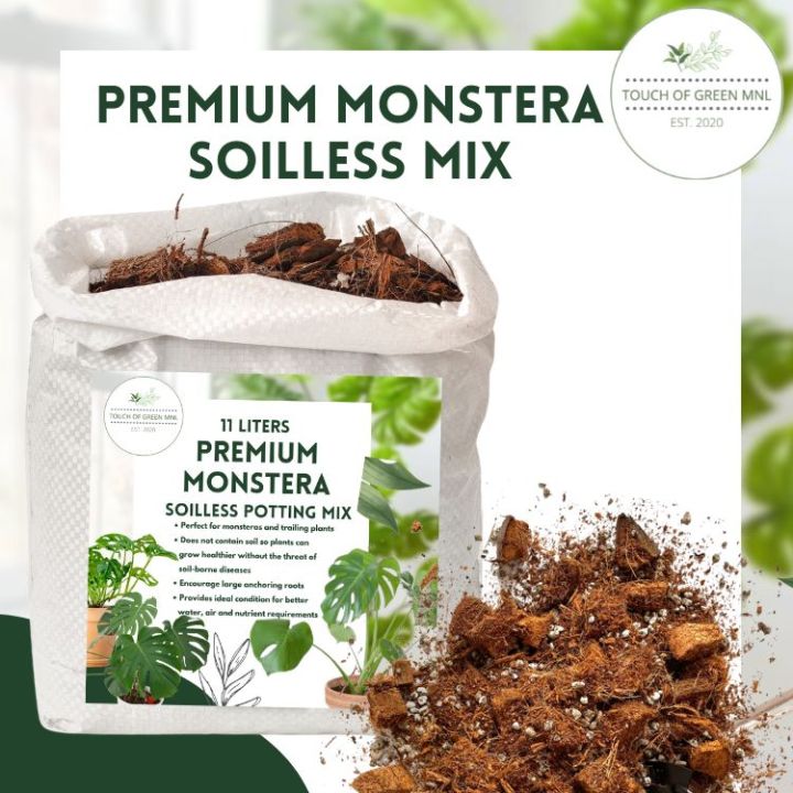Premium Monstera Soilless Potting Mix 11Liters | Lazada PH