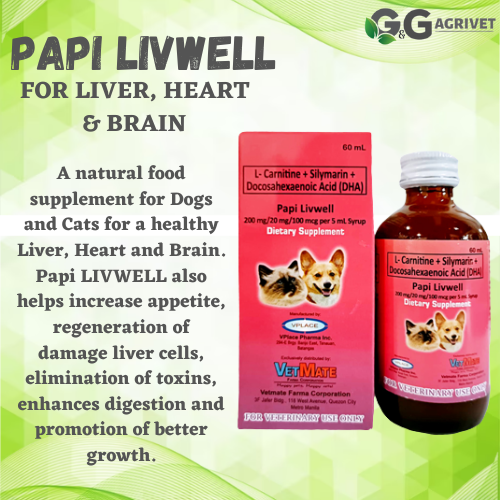 [G&G] PAPI LIVWELL / 60ML / DIETARY LIVER, HEART AND BRAIN HERBAL ...