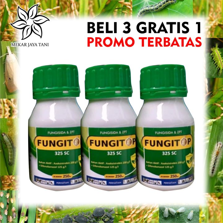 FUNGITOP FUNGSIDA/FUNGITOP OBAT HAMA DAN OBAT PENUMBUH BELI 3 GRATIS 1 ...