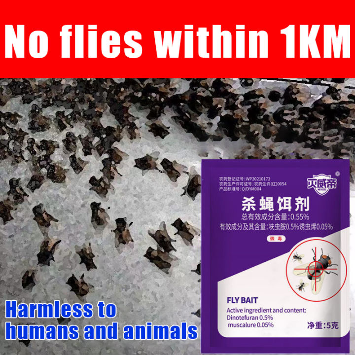 Strong lure 100% effective!fly killer trap flies repellent Fly Killing ...