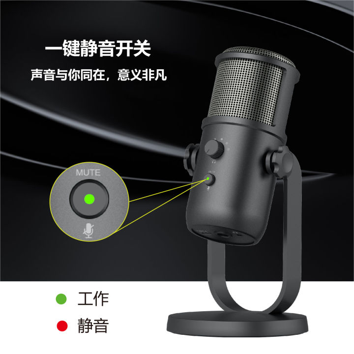 Four Directional Modes Himalayan Dual-Channel USB Capacitor Microphone ...