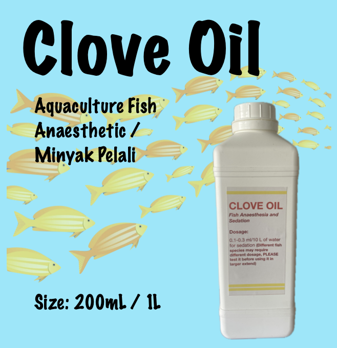 Fish Anaesthetic/ Transport Clove Oil 1L Minyak Pelali Ikan ...