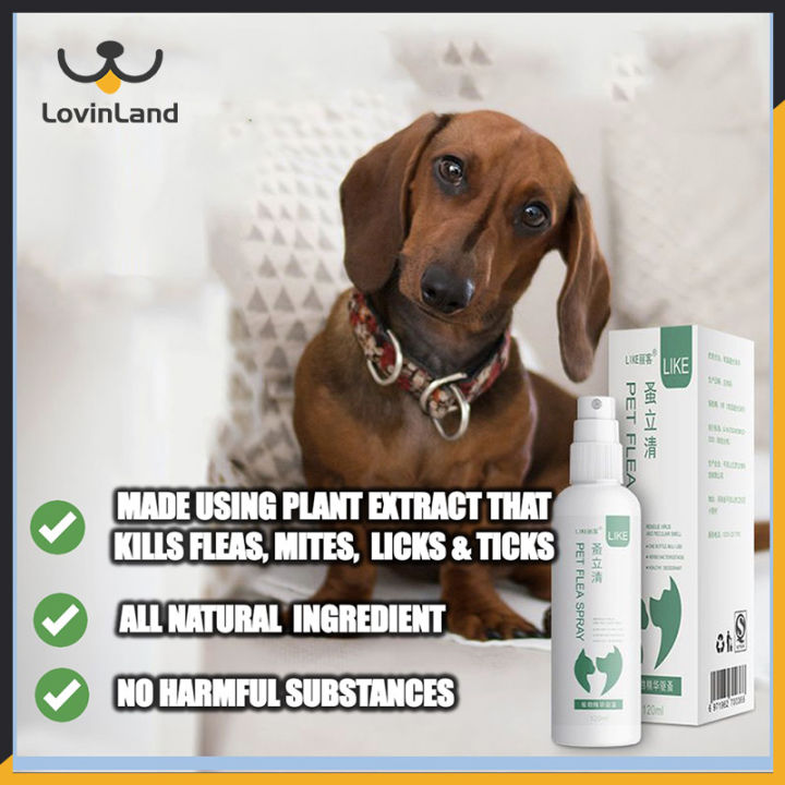 Lovinland Ticks And Fleas Remover Spray For Dog Anti-Tick Flea Killer ...