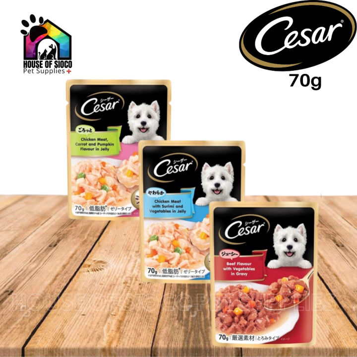 Cesar Pouch Wet Dog Food 70g | Lazada PH