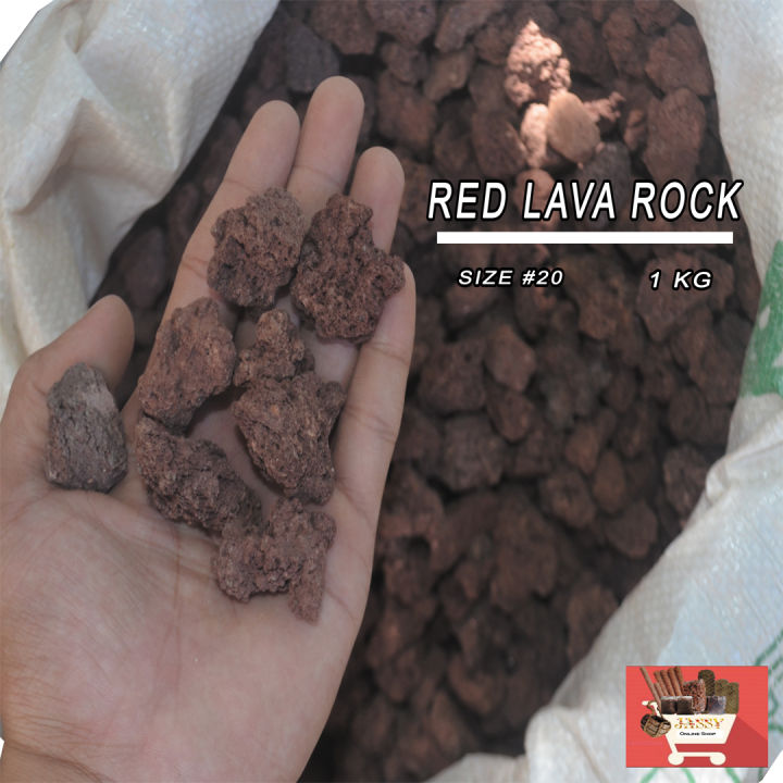 Best Seller Red Lava Rock size #20 (1 KG ) | Lazada PH