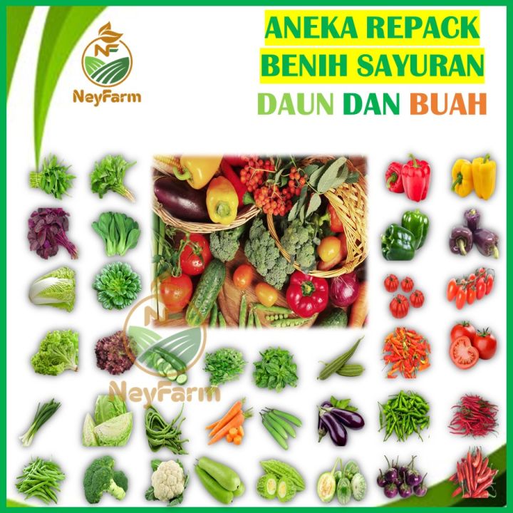 Aneka Benih Sayur Sayuran Biji Sayur Sawi Cabe Cabai Tomat Wortel Kol ...