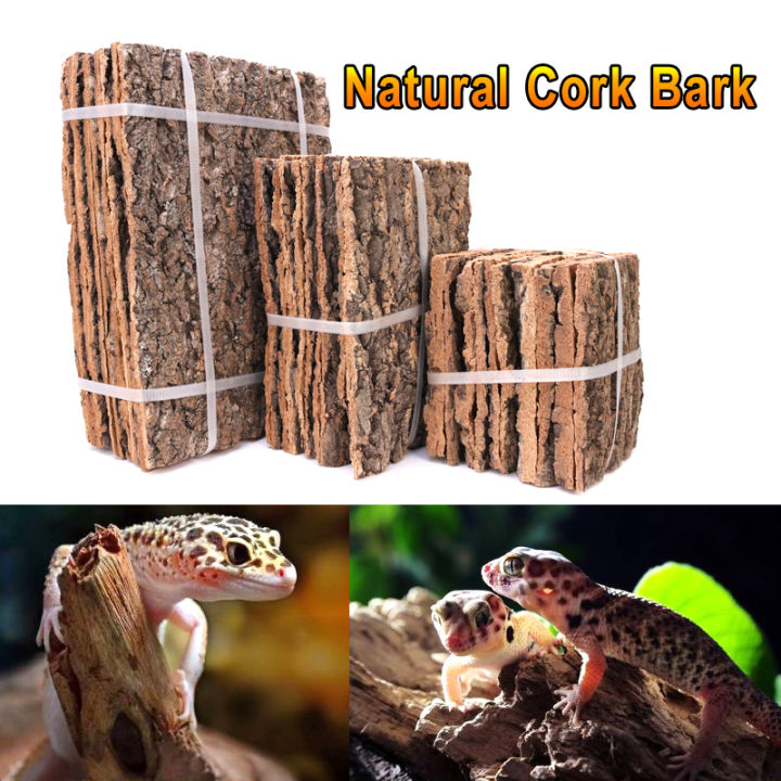 Natural Cork Bark Backdrop for Pet Spider Tarantula Turtle Hiding ...