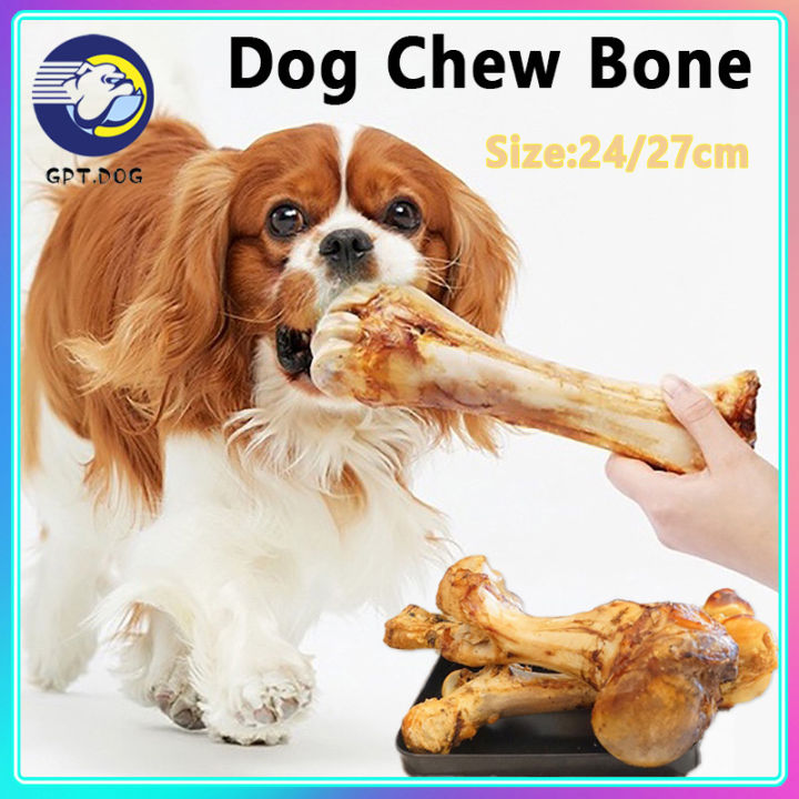 Extra large Dog Chew Bone Pet Chews Food Treats Funny Dogs Bones Dog ...