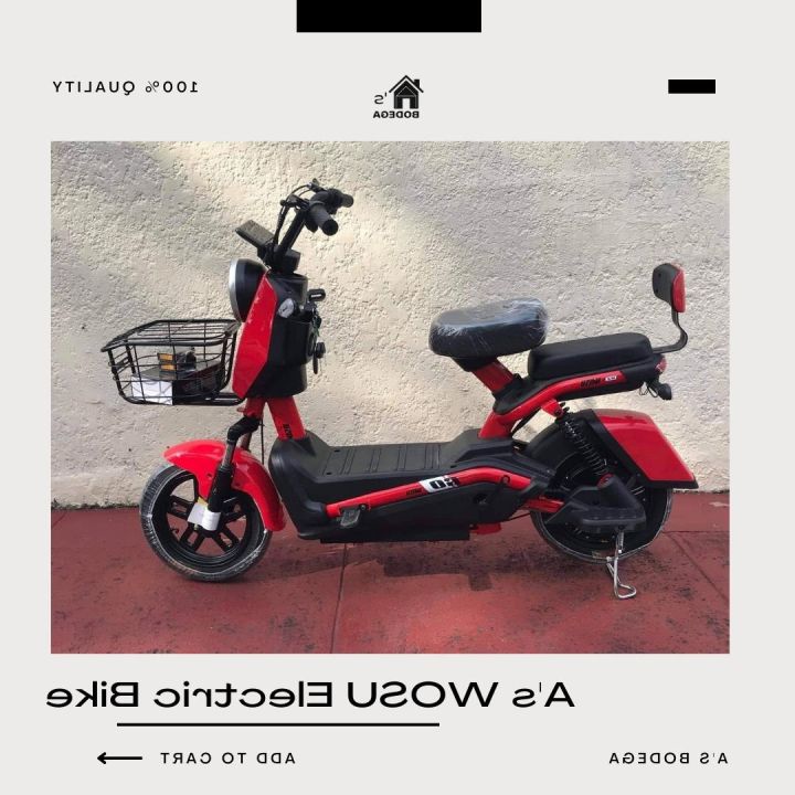 Quality Electric Bicycle 48V Ebike With Pedal 2 Seater eBike Bike ...