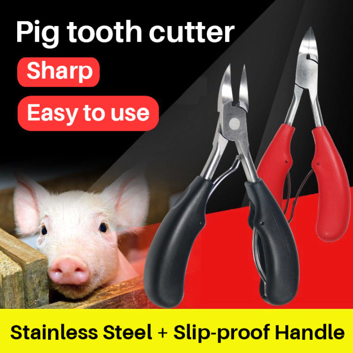 Stainless Steel Pig Tooth Cutter Piglet Teeth Nipper Clipper Cutting ...