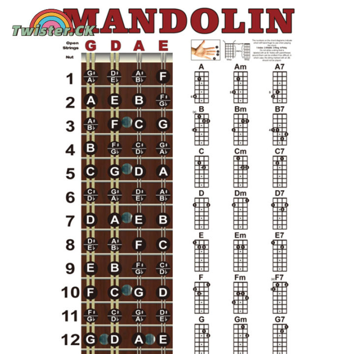 Mandolin Fretboard Notes Chart Finger Placement Chords Theory Poster ...
