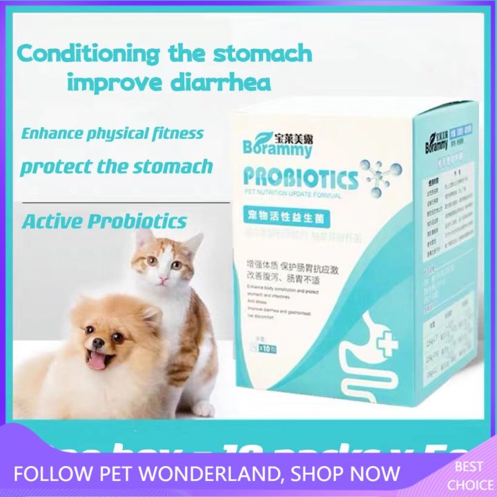 Pet Wonderland Dog Probiotics Pet Gastrointestinal Treasure Powder ...