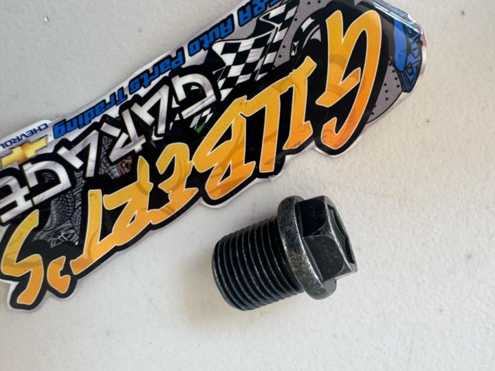Oil Drain Plug | Genuine Geely Part | ****020800 | Geely Okavango 2020 ...