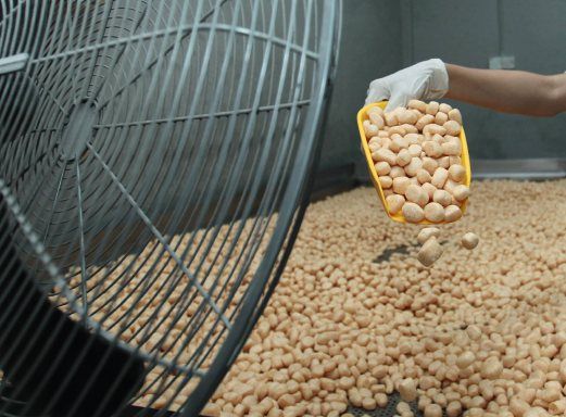 Fish Cracker/Snack - keropok amplang (ikan) 200g, Sabah-Tawau. | Lazada
