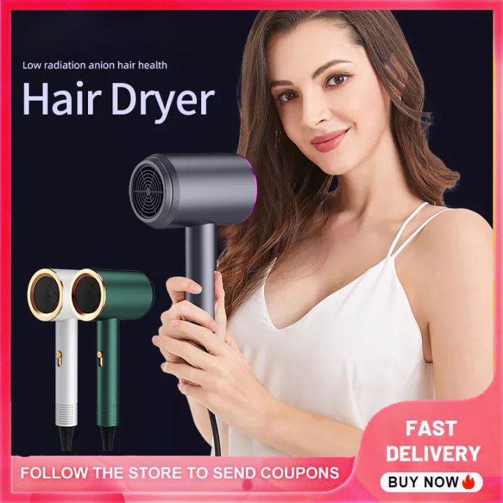 Portable Professional Hair Salon-grade Blower Hair Styler Hair Care ...
