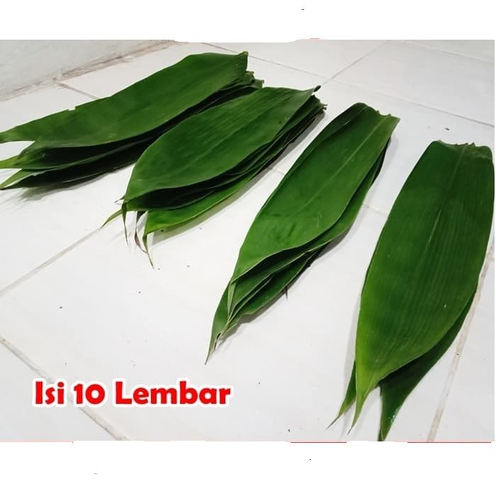 Daun Bambu Segar Untuk Obat Herbal Dan Pembungkus Makanan 10 Lembar ...