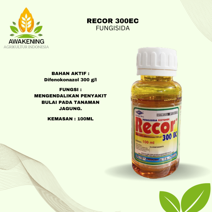 RECOR 300EC 100ML fungisida sistemik | Lazada Indonesia