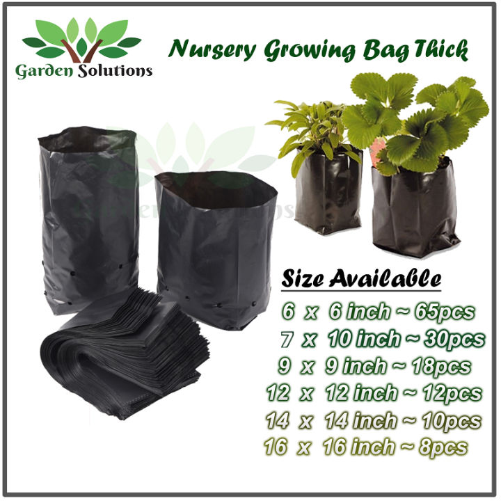 Black Polybag Thick Fertigasi Polibag Hitam Nursery Plastik Semaian ...