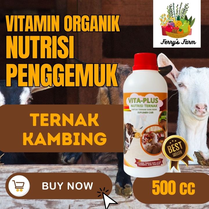 Vitamin Ternak Kambing Vitamin Penggemuk Ternak Kambing Obat Vitamin ...