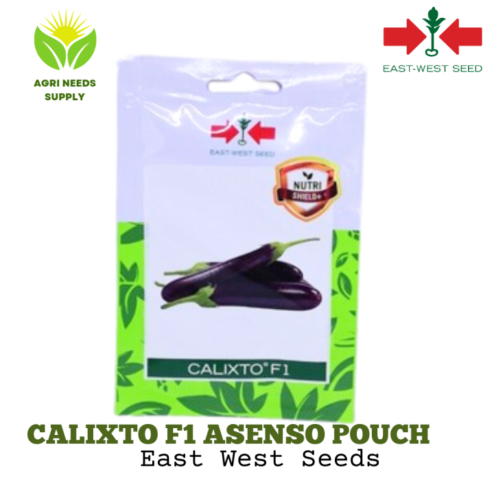 Eggplant (Talong) Calixto F1 East West Seeds asenso pouch (minimum of ...