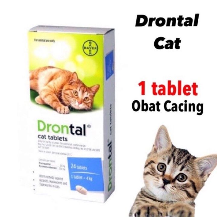 Drontal Cat 1 Tablet Obat Cacing Kucing Drontal Kucing Obat Cacing Import Thailand | Lazada ...