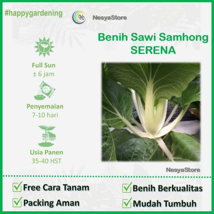 50 Biji Benih Sawi SAMHONG KING - Benih Sayur | Lazada Indonesia