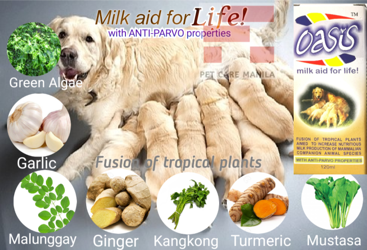 Oasis Anti-Parvo Milk Enhancer Milk Aid for Life, 120ml (Exp July 2024 ...