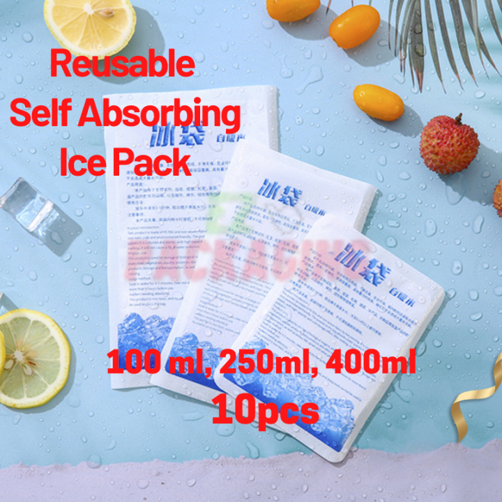 *10pcs Reusable Self Absorbing Ice Pack Food Storage Breastmilk Food ...