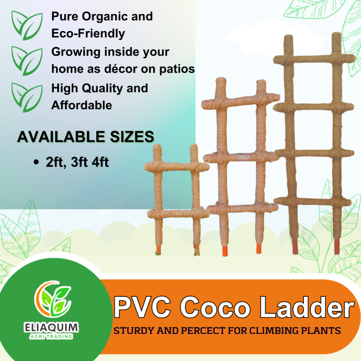 PVC 4ft,3ft,2ft Coco Ladder For Climbing Plants | Lazada PH