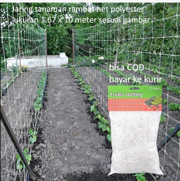Jaring tanaman rambat net polyester ukuran 1.67 x 10 meter sesuai ...