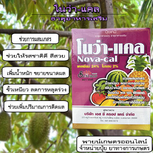 โนว่า-แคล ( Nova-cal ) แคลเซียม โบรอน ( ขนาด 50 กรัม ) | Lazada.co.th