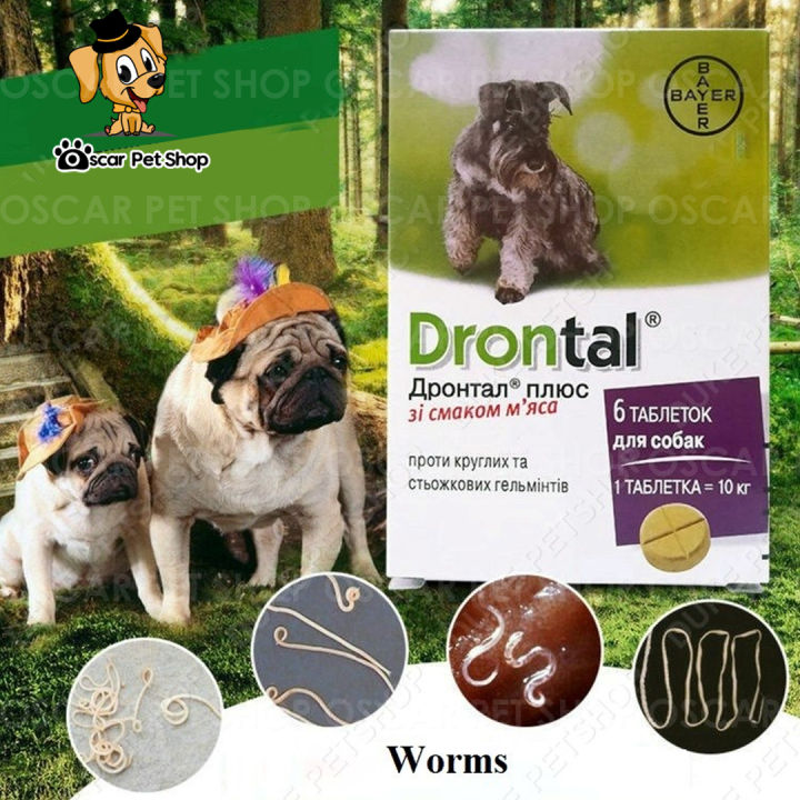 Drontal Plus Tablet Tasty Dewormer Tablets for Dogs and Cats | Lazada PH