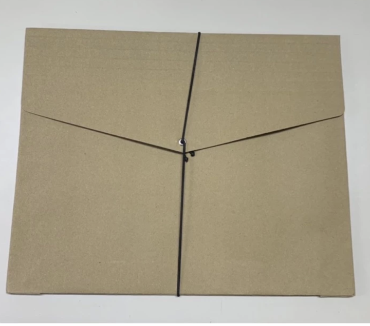 Kraft Expanding Envelope with Garter | Lazada PH