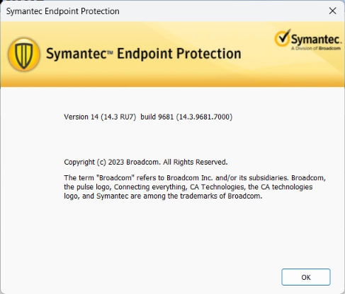 SYMANTEC ENDPOINT PROTECTION FOR WIN/LINUX/MACOS | Lazada PH